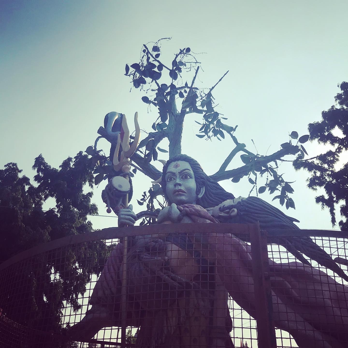 Grief is a Scar – Whole Leader